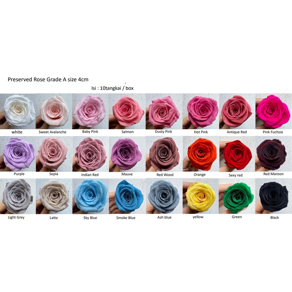 Jual Preserved Rose Grade A SIZE (4CM) | Shopee Indonesia