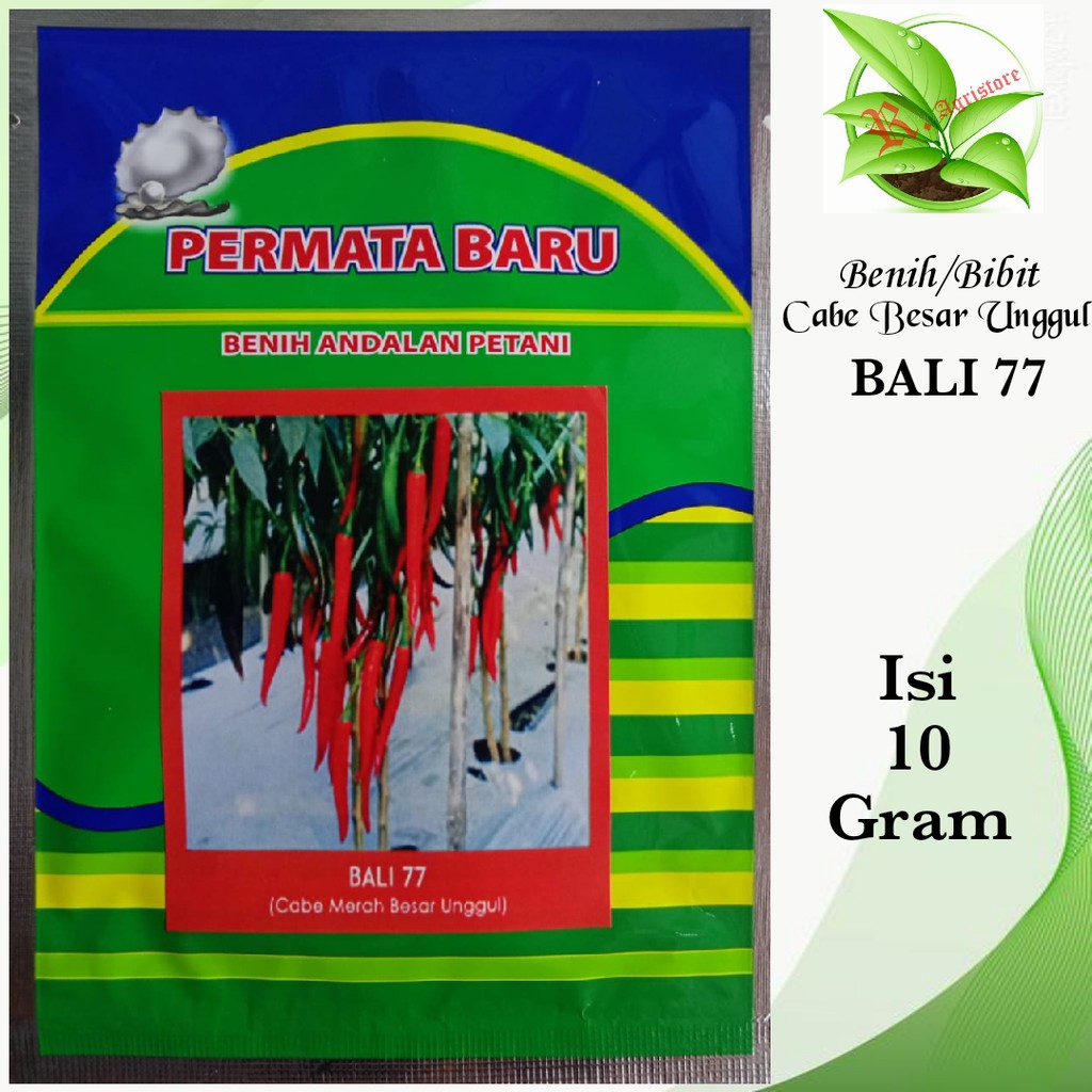 Jual Bibit Cabe Besar BALI 77 Isi 10 Gram Benih Cabe Merah Besar Bibit ...