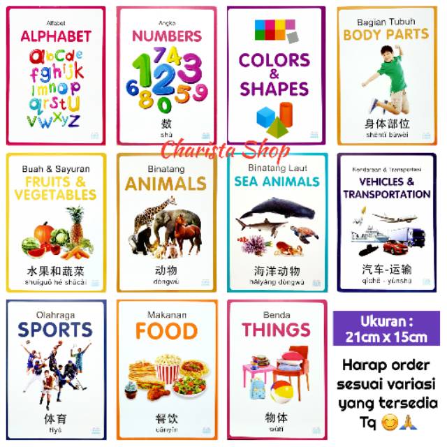 Flash Card My Own Flash Cards Flashcard 3 Bahasa | Shopee Indonesia