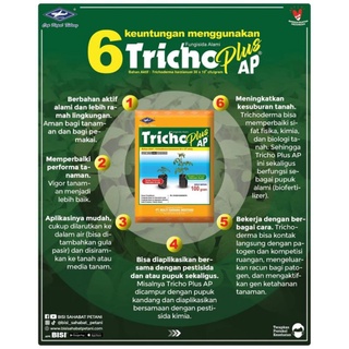 Jual Fungisida Organik Tricho Plus AP 100 gram Trichoderma | Shopee ...