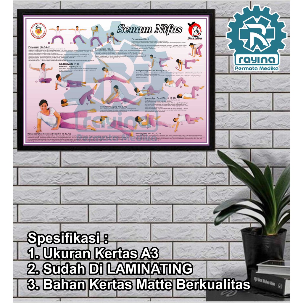 Jual Poster Senam Nifas | Shopee Indonesia