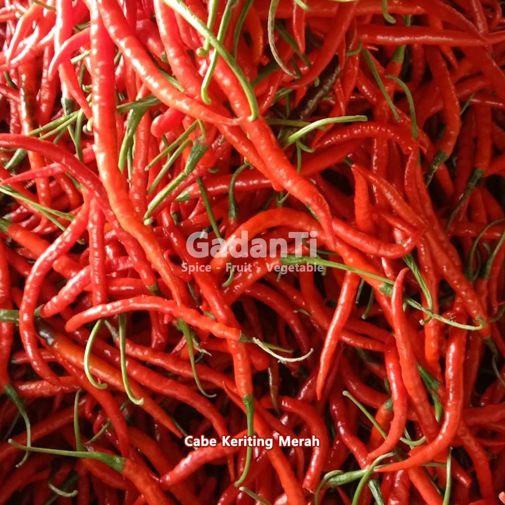 Jual Cabe Merah Keriting Segar 1Kg Indonesia|Shopee Indonesia
