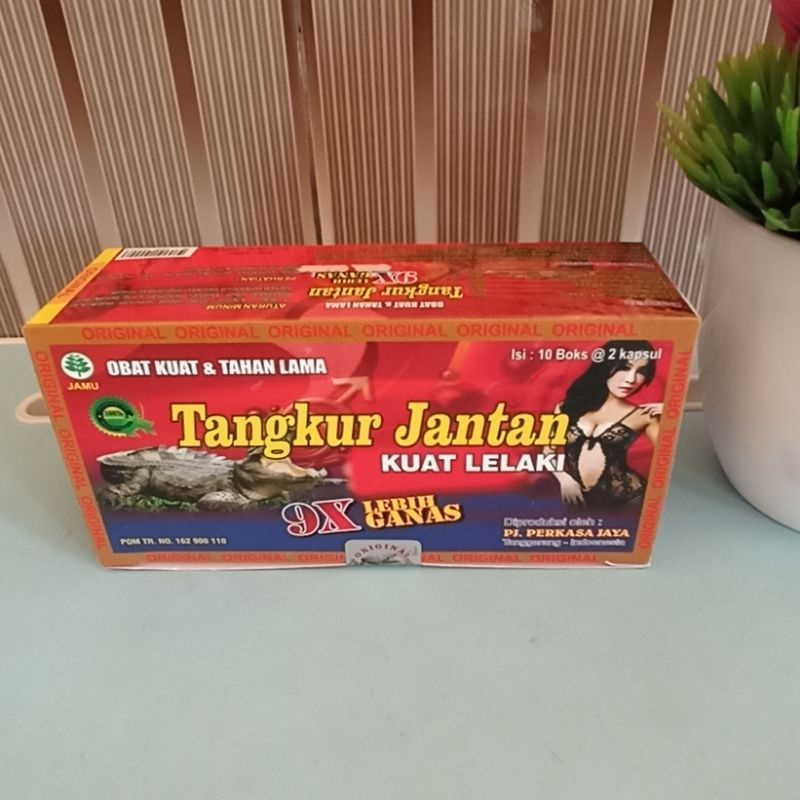 Jual KAPSUL TANGKUR JANTAN KUAT LELAKI OBAT KUAT OBAT TAHAN LAMA (1 Box isi 10 Sachet) | Shopee ...