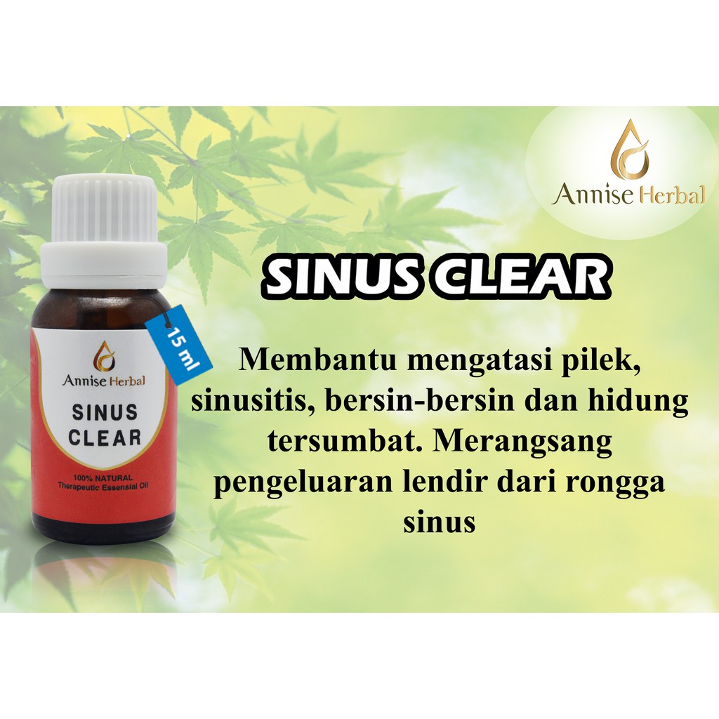 Obat Sinusitis Herbal - Perumperindo.co.id