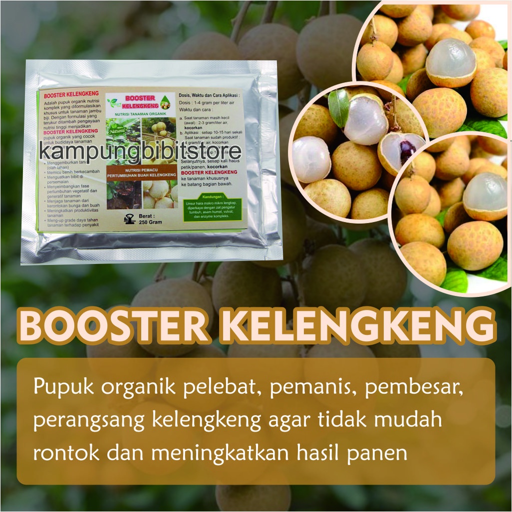 Jual Pupuk Booster Pohon Kelengkeng, Booster Kelengkeng Agar Berbuah Lebat | Shopee Indonesia