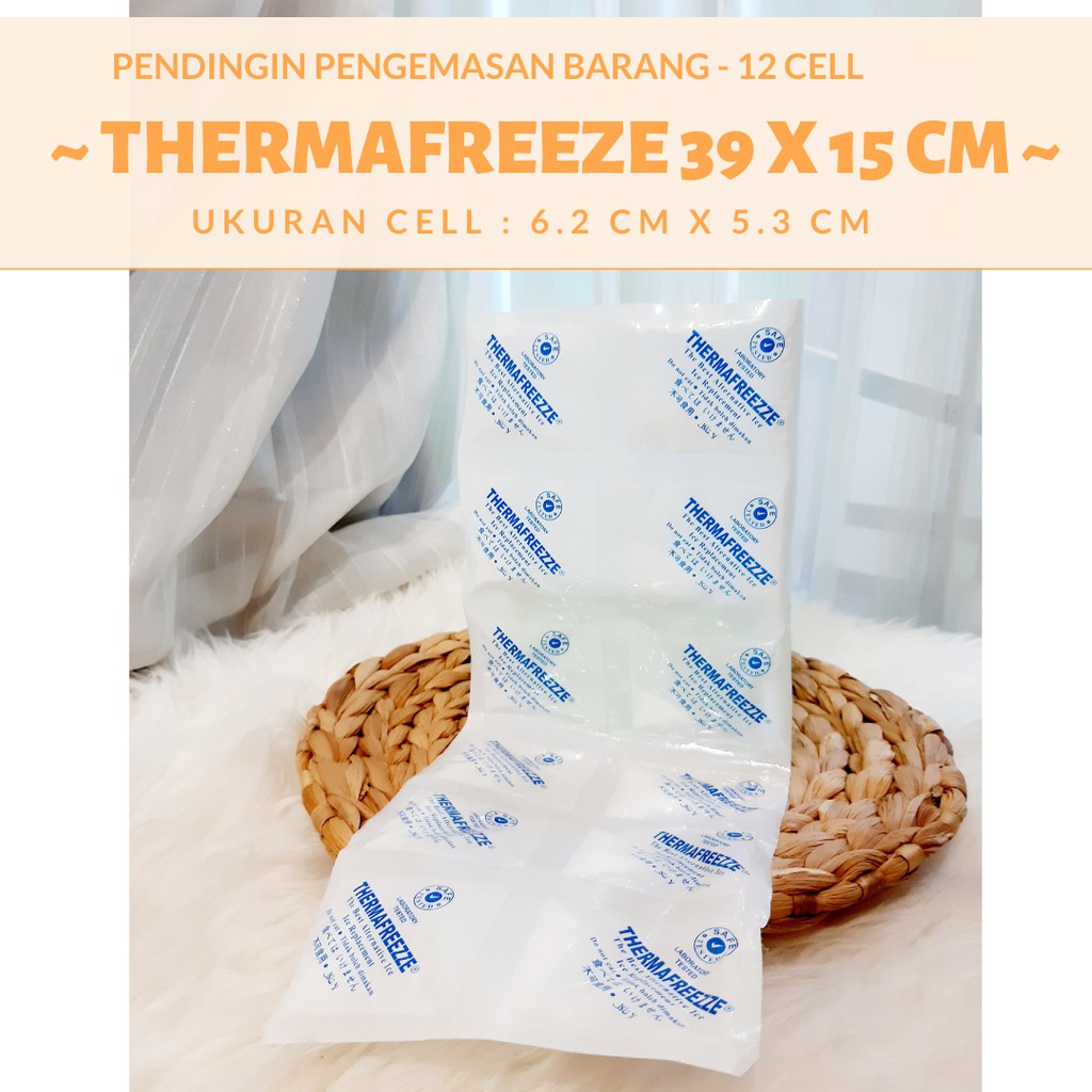 Jual ES PACK / Ice gel lembaran / murah & cocok untuk industri rumahan ...