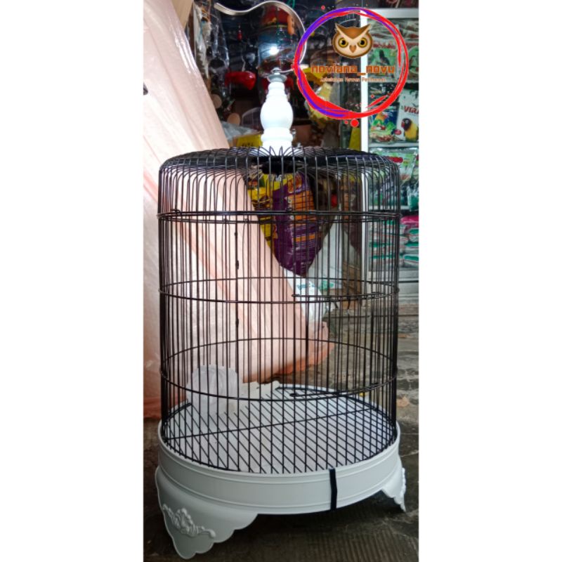 Jual SANGKAR BESI KENARI BURUNG LOVEBIRD LOVE BIRD PERKUTUT PARKIT MERK ...