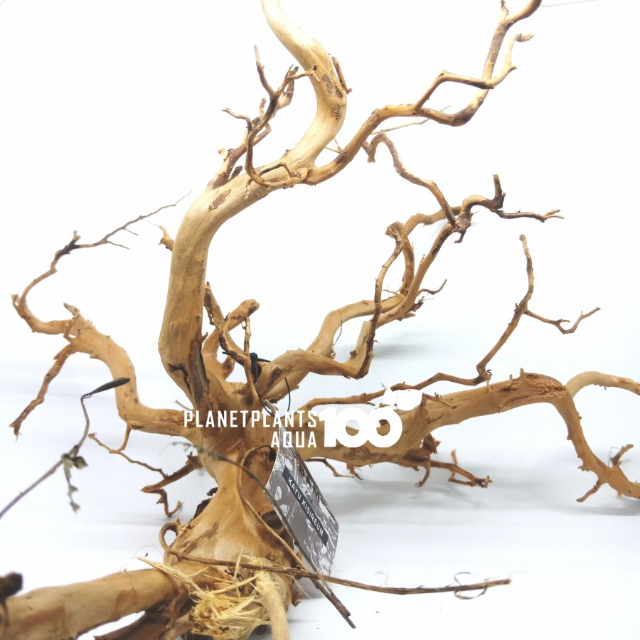 Jual AKAR / KAYU KISIREM BIG SIZE AQUARIUM TERARIUM PALUDARIUM ...