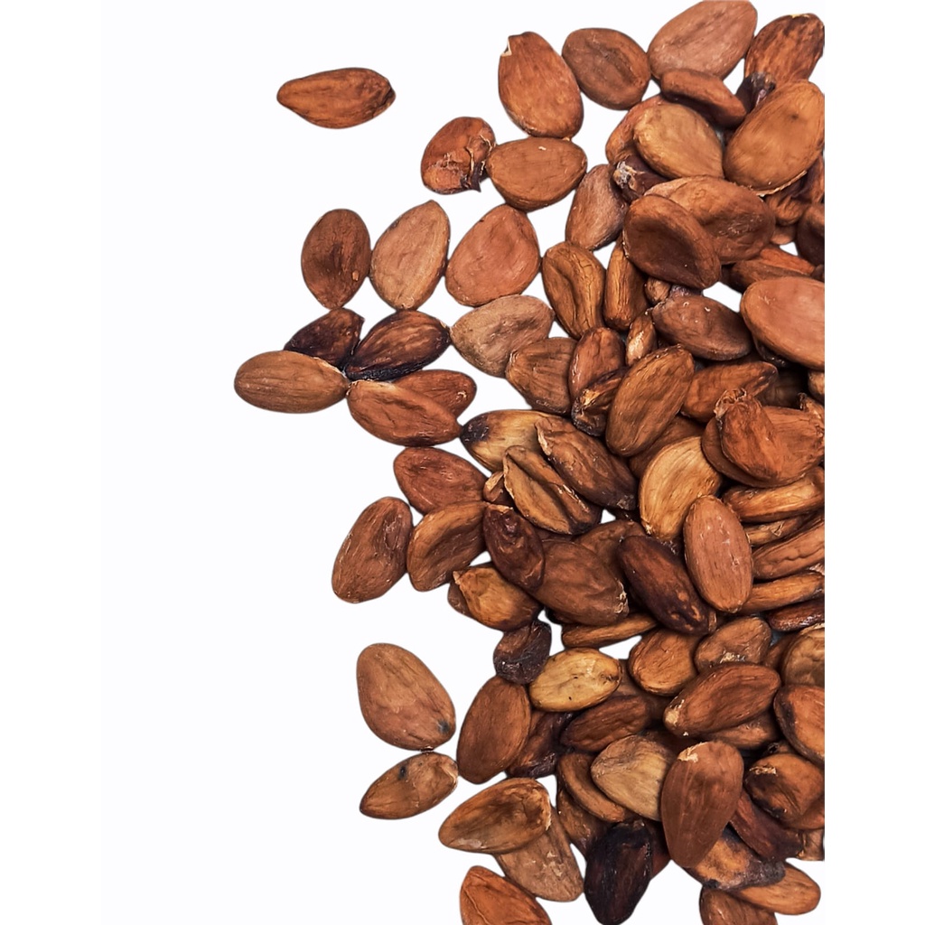 Jual Gumiku Fermented Cacao Bean (Biji Coklat Fermentasi) Indonesia ...