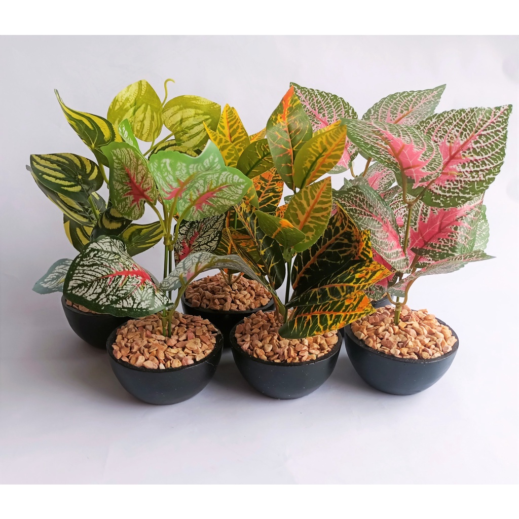 Jual Rangkaian Artifisial Tanaman Daun Bunga Shabby Mini Monstera ...