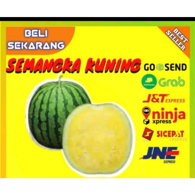 Jual BUAH SEMANGKA KUNING WATERMELON YELLOW BESAR SEGAR | Shopee Indonesia