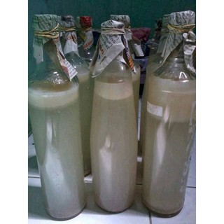 Jual BIBIT/STARTER NATA DE COCO | Acetobacter Xylinum- bakteri ...