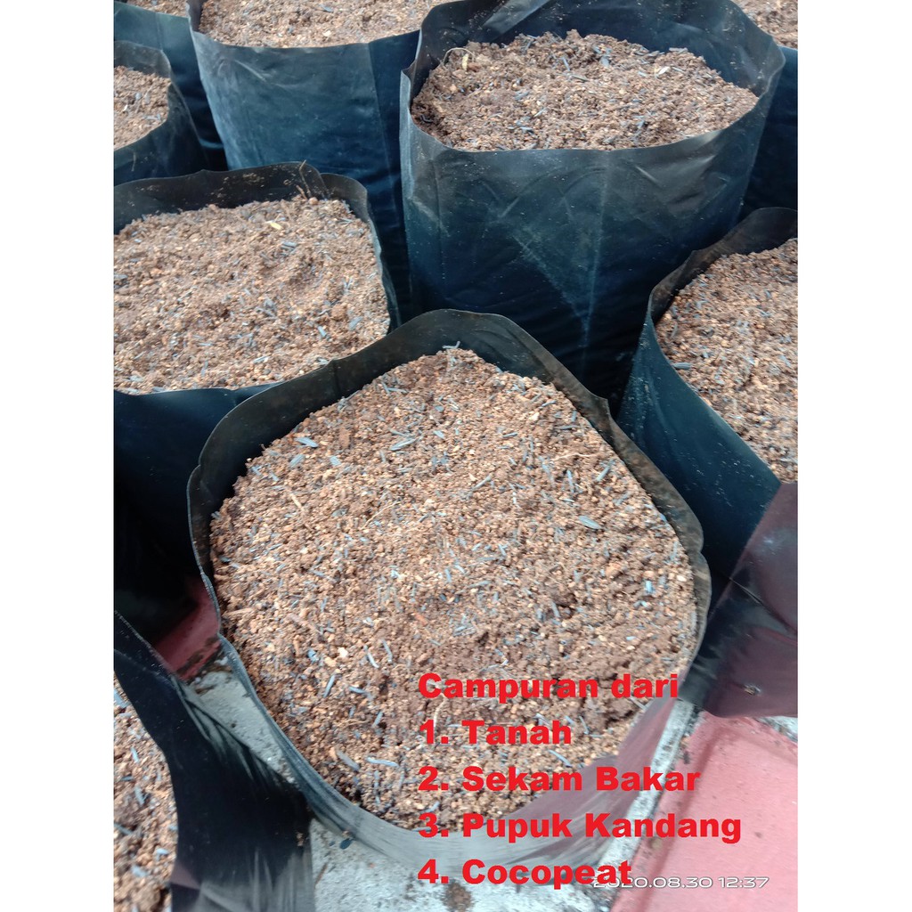 Jual Media tanam Siap Pakai kemasan 1 Kg | Shopee Indonesia