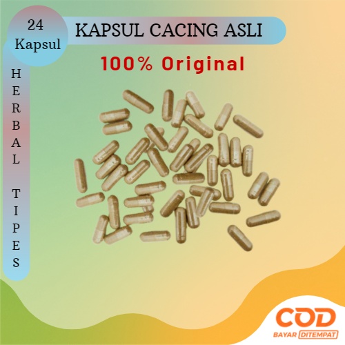 Jual Kapsul Cacing Untuk Tipes Obat Tipes Dan Demam Manjur - KAPSUL ...