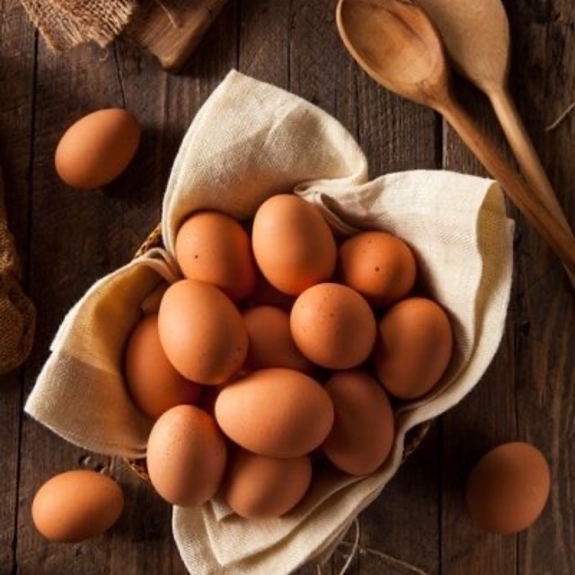 Produk Agen Telur Palembang | Shopee Indonesia