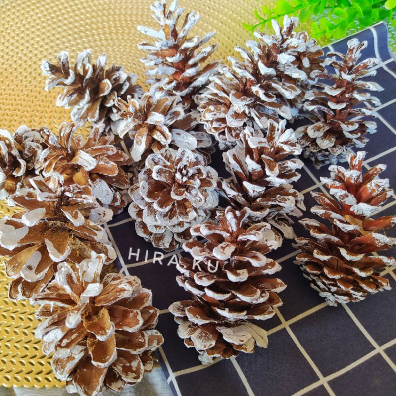 Jual Bunga pinus snow || Props foto | Shopee Indonesia