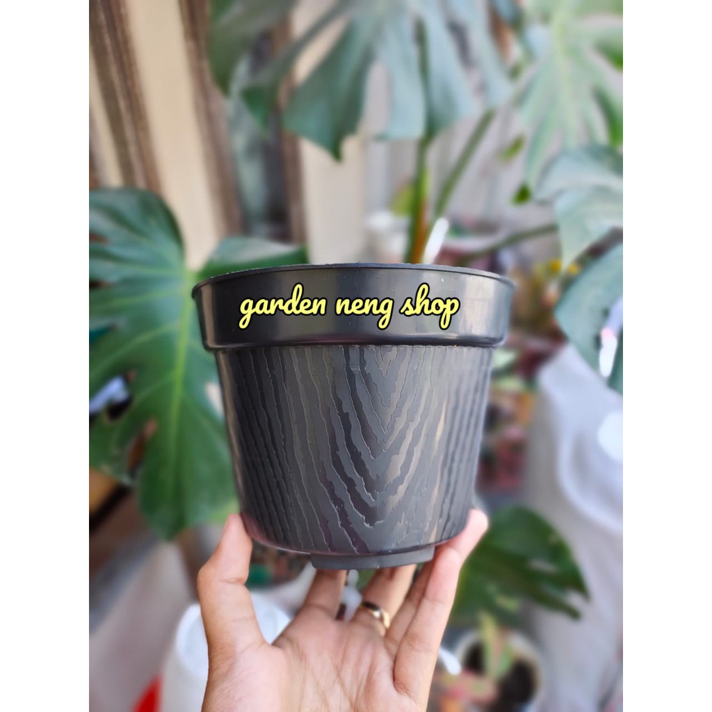 Jual POT BUNGA 15 CM HITAM POLOS/POT SERAT 15 HITAM - Pot Tanaman Hias ...