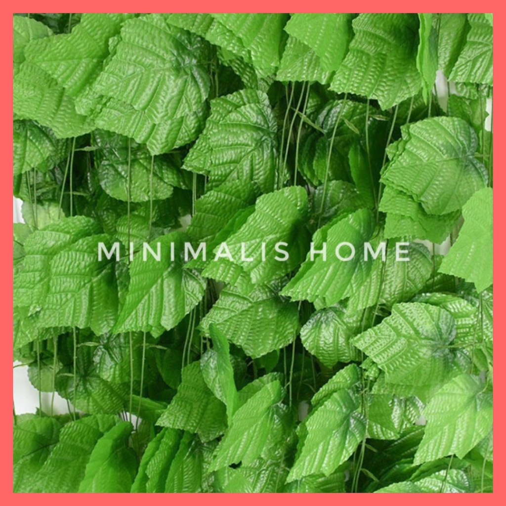Jual Daun Rambat Besar Anggur Sulur 2m Warna Hijau Muda Plastik Juntai ...