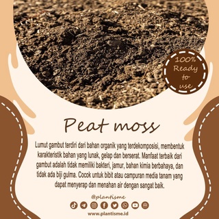 Jual Peat Moss Lumut Gambut Kompos Sphagnum Spagnum Metan Media Tanam 500 - 500 gram | Shopee ...