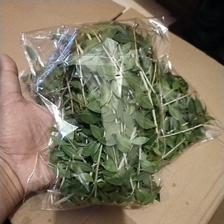 Jual Daun Pacar Segar 50 Gram / Daun Inai/ Daun Henna / Daun Pacar Arab ...