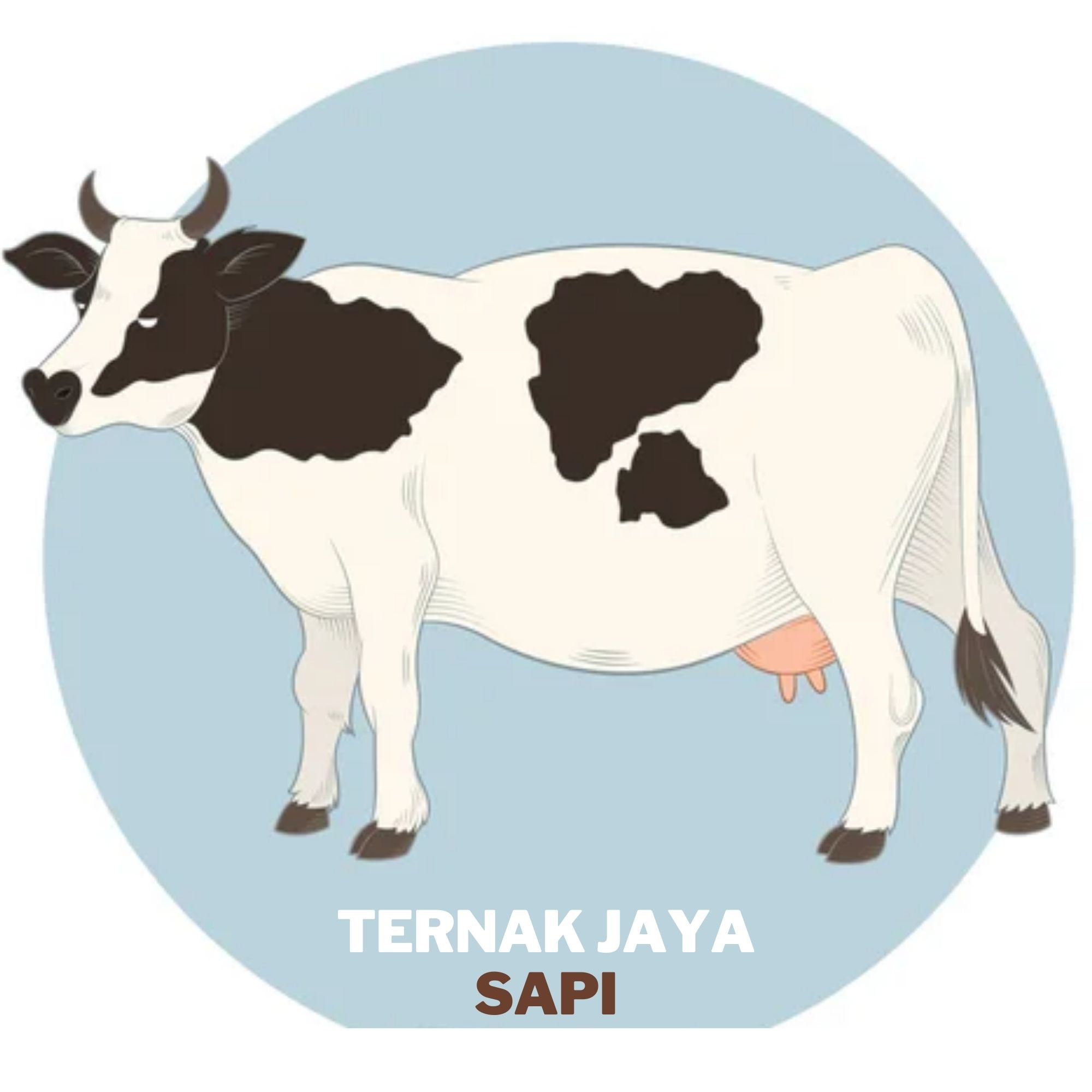 Produk Ternak Jaya Sapi | Shopee Indonesia