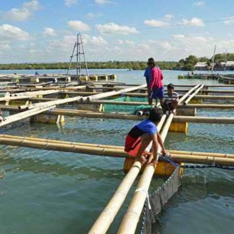 Jual keramba ikan jaring apung untuk budidaya ikan di danau atau di ...