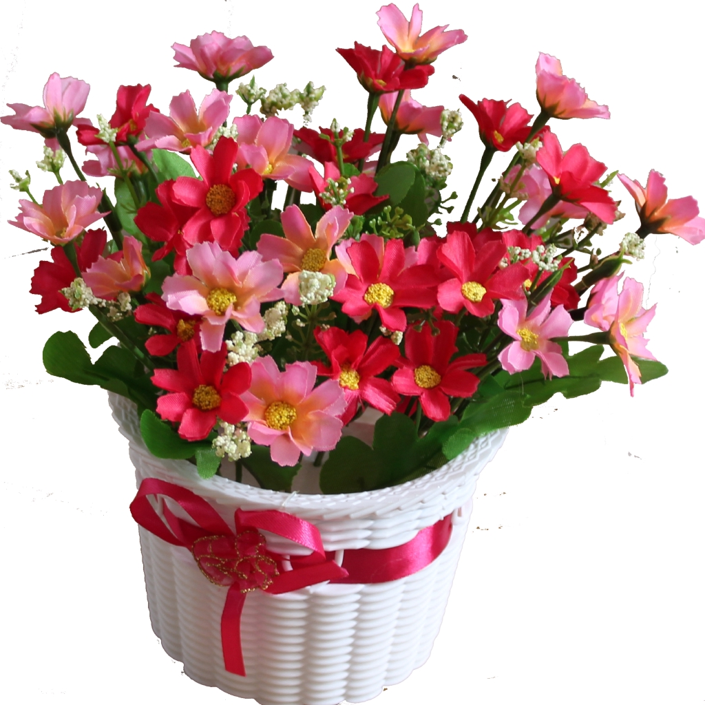 Ini Dia! 38+ Tanaman Bunga Kecil Dalam Pot Kekinian - Informasi Seputar ...