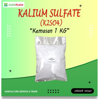 Jual Pupuk K2SO4 (SOP)-Kalium Sulfat-Potasium Sulfat-ZK-1kg | Shopee ...