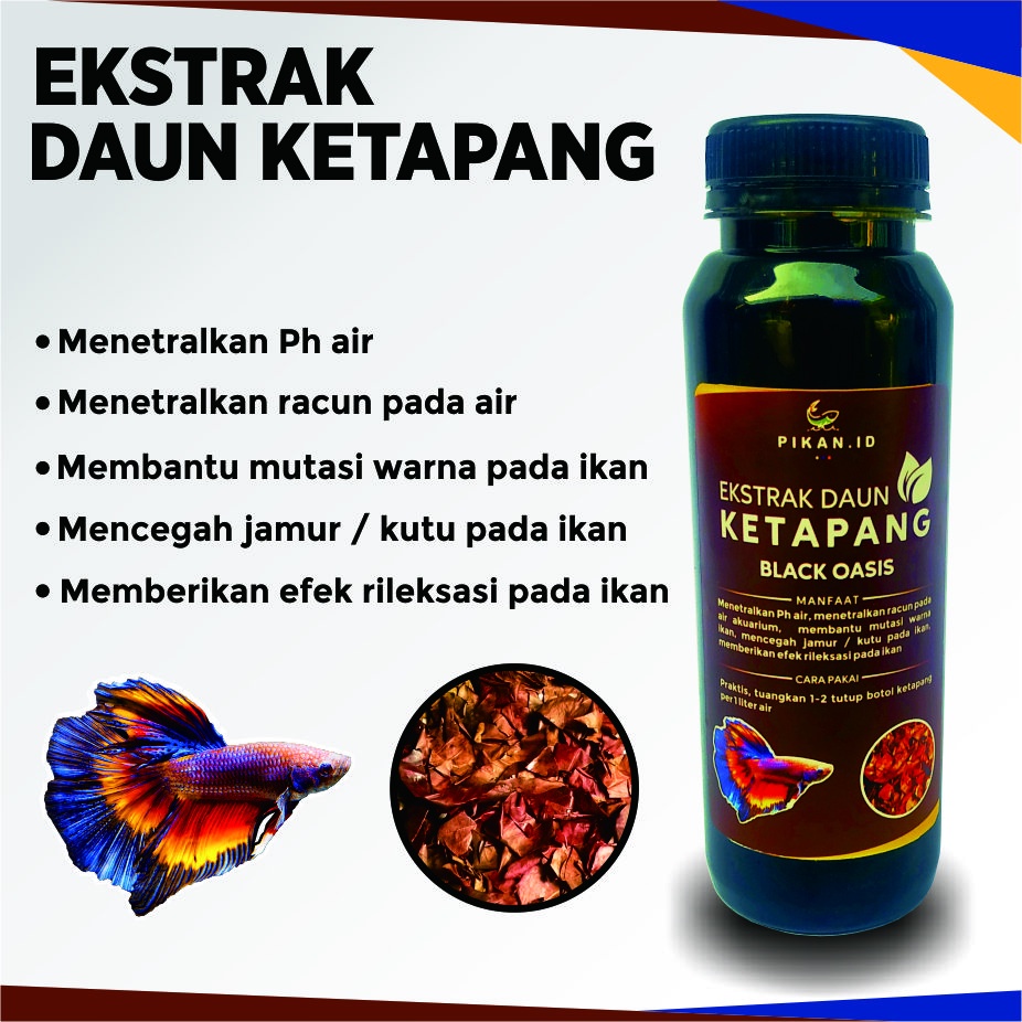 Jual Ekstrak Daun Ketapang Perawatan Ikan Cupang Langsung Larut Tanpa ...