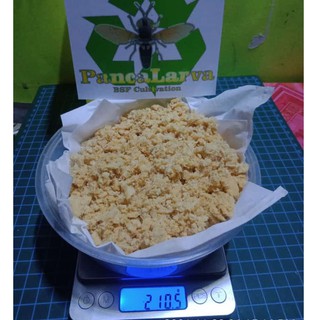 Jual Telur maggot bsf telur magot telur bsf termurah 10 gram | Shopee ...