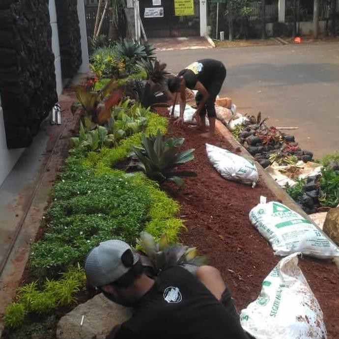 Jual PUSAT BENIH TERLENGKAP. JUAL RUMPUT .TANAH DAN JASA PERAPIHAN ...