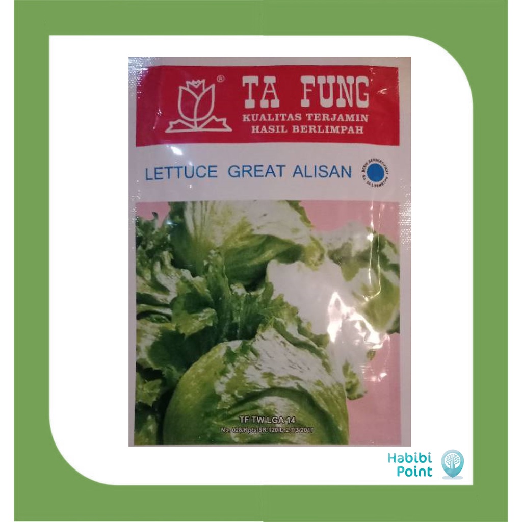 Jual BENIH BIBIT SELADA KROP HEAD LETTUCE GREAT ALISAN F1 | Shopee ...