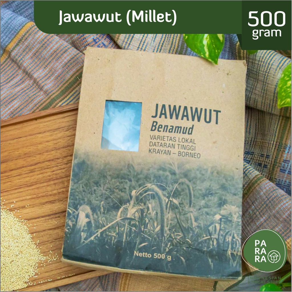 Jawawut (Millet) | Shopee Indonesia