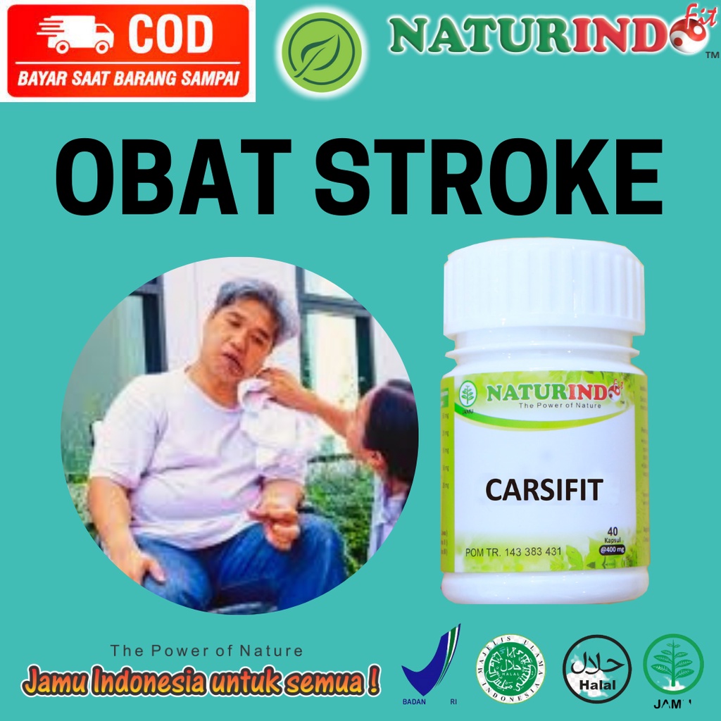 Jual Obat Herbal Stroke Sangat Ampuh Struk Ringan Berat Struke Strok ...
