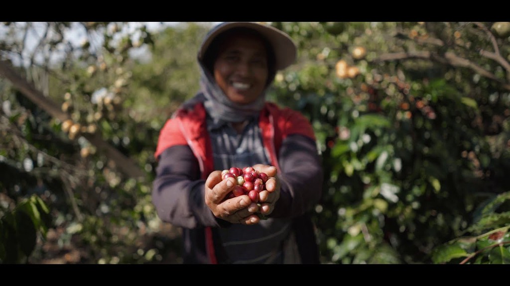 Toko Online Javanegra Official Shop | Shopee Indonesia