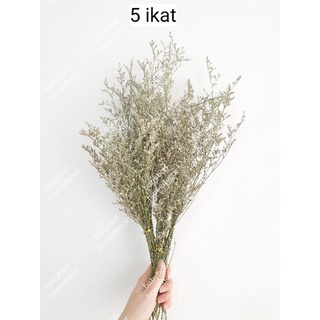 Jual bunga CASPEA/caspia/kaspia kering dried lover grass flower ...