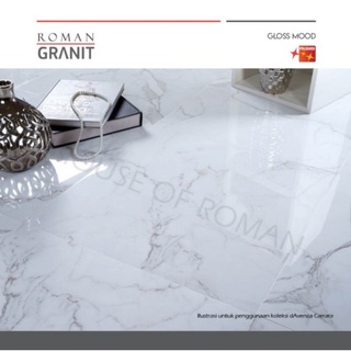 Jual Roman Granit dAvenza carara 60x60 / granit roman / granit indoor ...