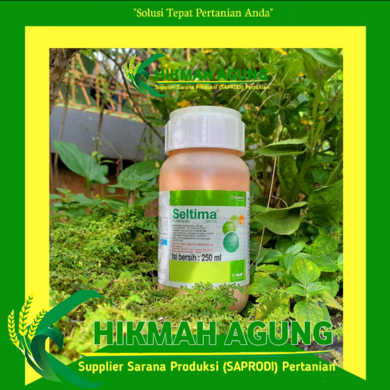 Jual SELTIMA 100 CS 250 ML FUNGISIDA ( Piraklostrobin 100 g/l ...