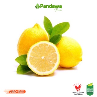 Jual Jeruk Lemon 1Kg / Jeruk Lemon Lokal / Jeruk Lemon Fresh / Lemon ...