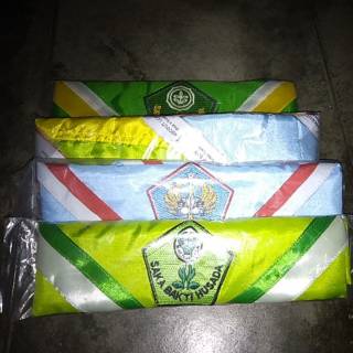 Jual Slayer Pramuka Rainbow dan Satuan Karya Scraft Pramuka Keren ...