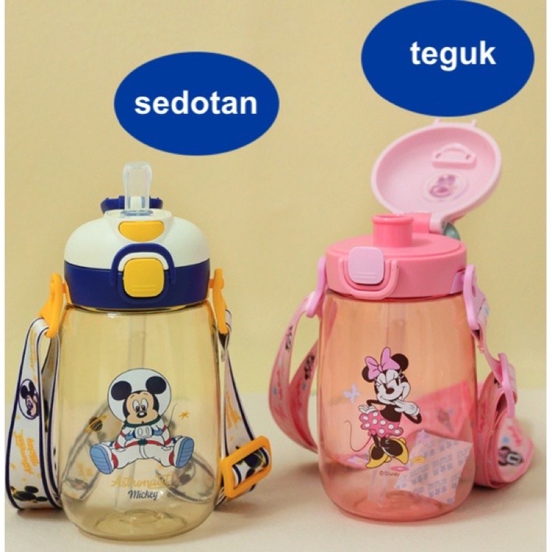 Jual DISNEY WATERBOTTLE/BOTOL sedotan atau teguk 2 fungsi 560ML WD8082 | Shopee Indonesia