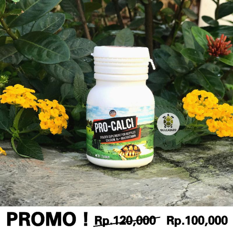 Jual PRO-CALCI CALCIUM D3 MULTIVITAMIN KURA KURA | Shopee Indonesia