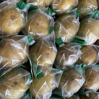 Jual LO HAN KUO BULAT EMAS/ LUO HAN GUO KUNING/LO HAN KO/LOHANKO/MONK ...