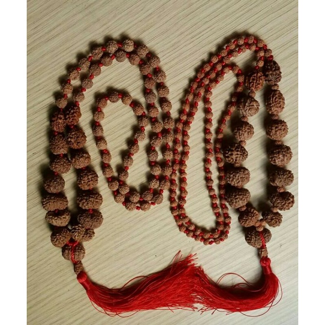 Jual Sidhamala rudraksha jenitri original | Shopee Indonesia