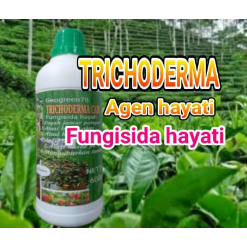 Jual Pupuk hayati cair Fungisida hayati TRICHODERMA TRICODERMA 600ml Indonesia|Shopee Indonesia