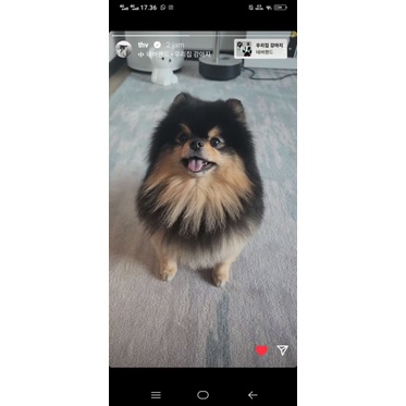 Jual ALBUM PROOF!!! | Shopee Indonesia