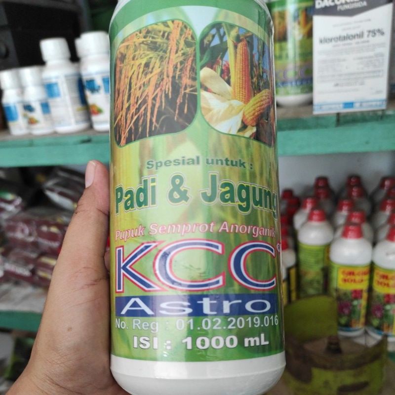 Harga kcc Terbaru Mei 2025 | BigGo Indonesia