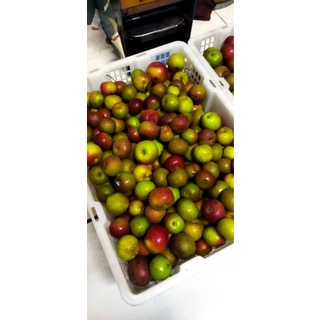 Jual Apel Rome Beauty Kecil | Shopee Indonesia