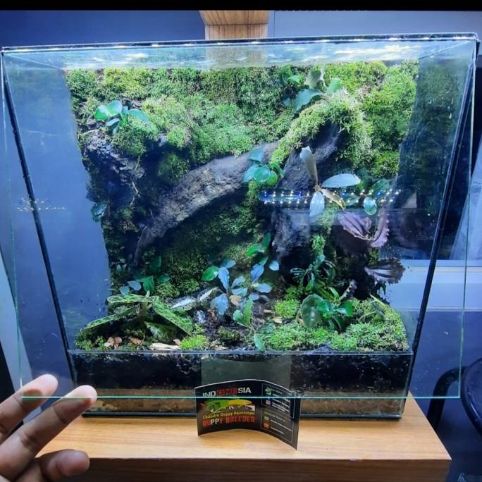 Jual Terrarium reptile bio active vivarium terrarium dartfrog | Shopee ...