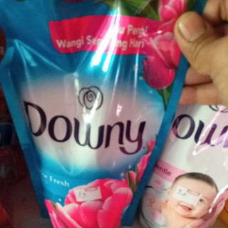 Jual downy besar harga kecil 550ml | Shopee Indonesia